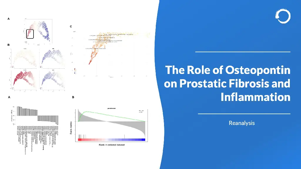 Osteopontin Function in Prostate Fibrosis | RNA-Seq Data Reanalysis